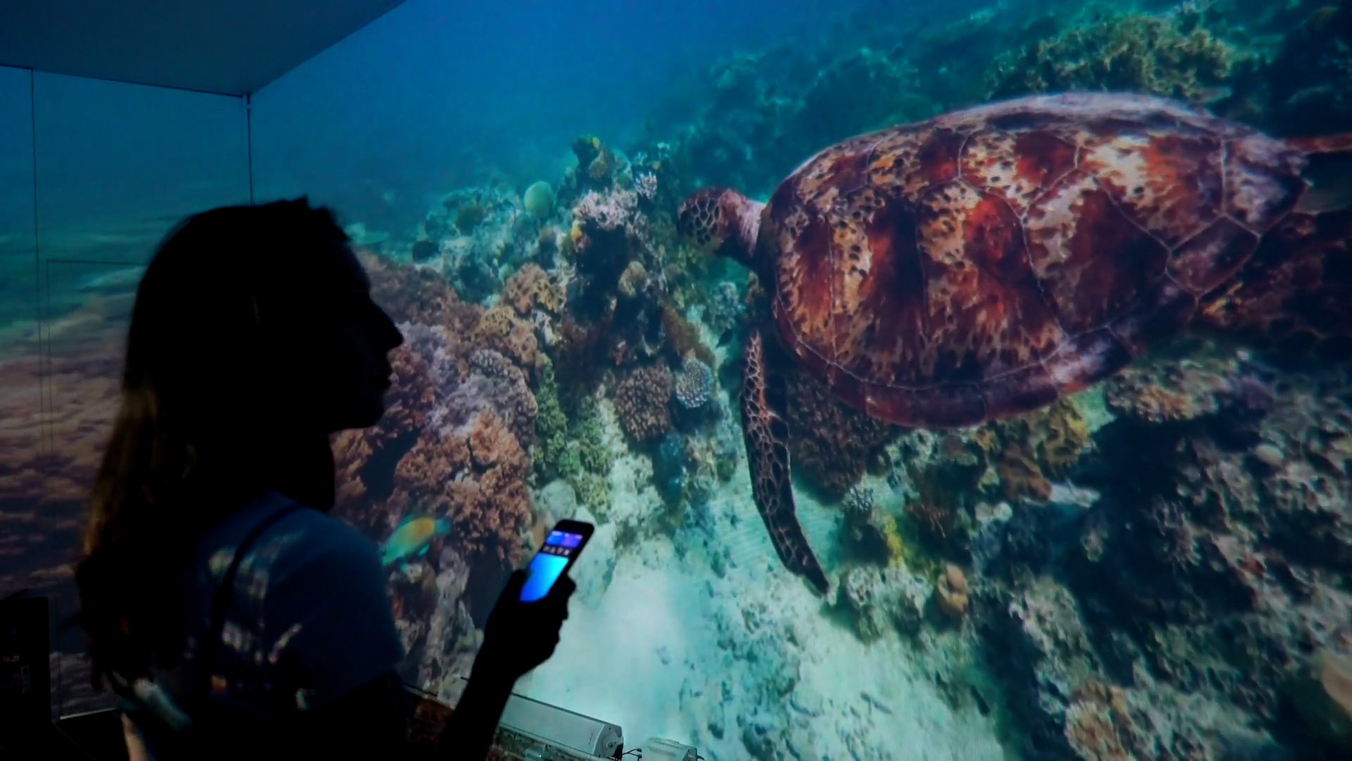 Street View | Broomx Technologies - Immersive solutions