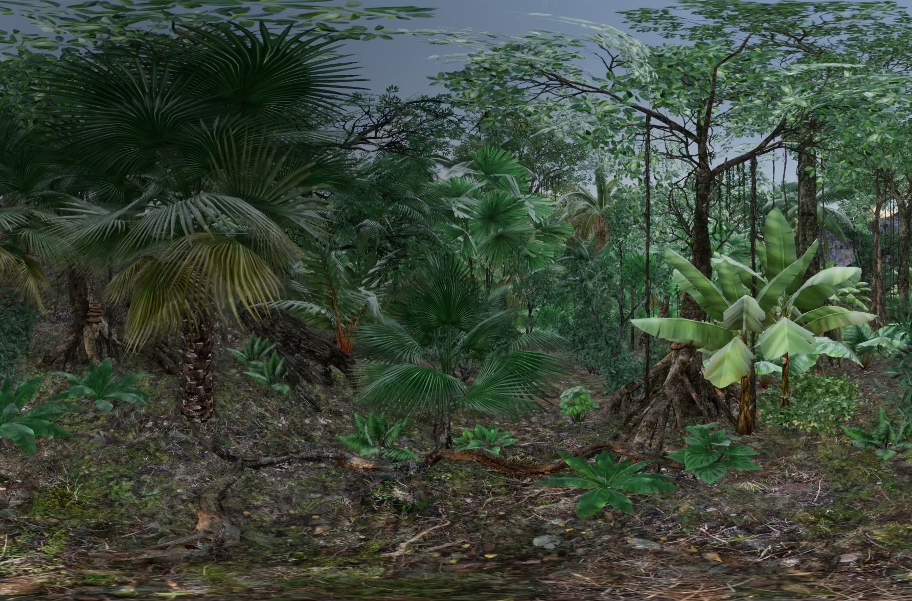 Content | Broomx Technologies - Immersive solutions